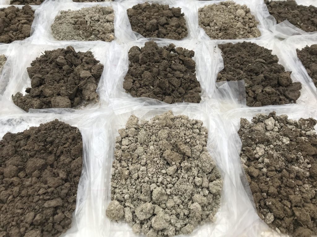 5 Reasons Why Soil Testing is Essential for Successful Construction ...